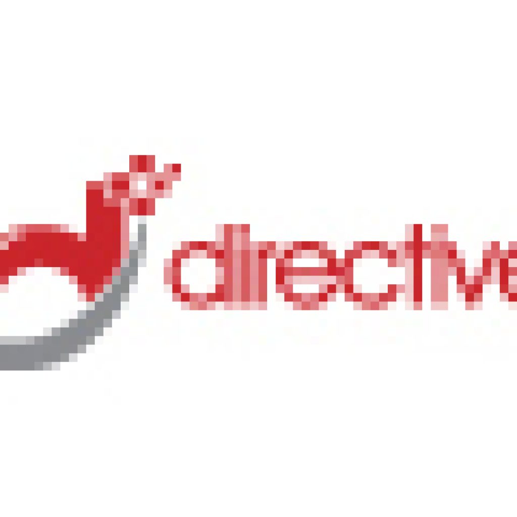 Chris Chase - Directive